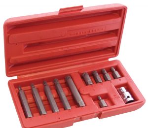 12 Point Torx Bit Set with 1/2" Drive Socket M5 M6 M8 M10 M12 - Toolbug